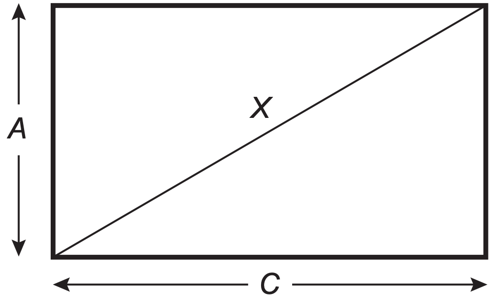 ENEM 2019 PPL - A unidade de medida utilizada para anunciar o tamanho ...